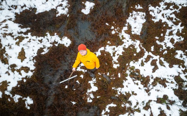 Wpływ gwałtownych zmian klimatu na ekosystemy torfowisk